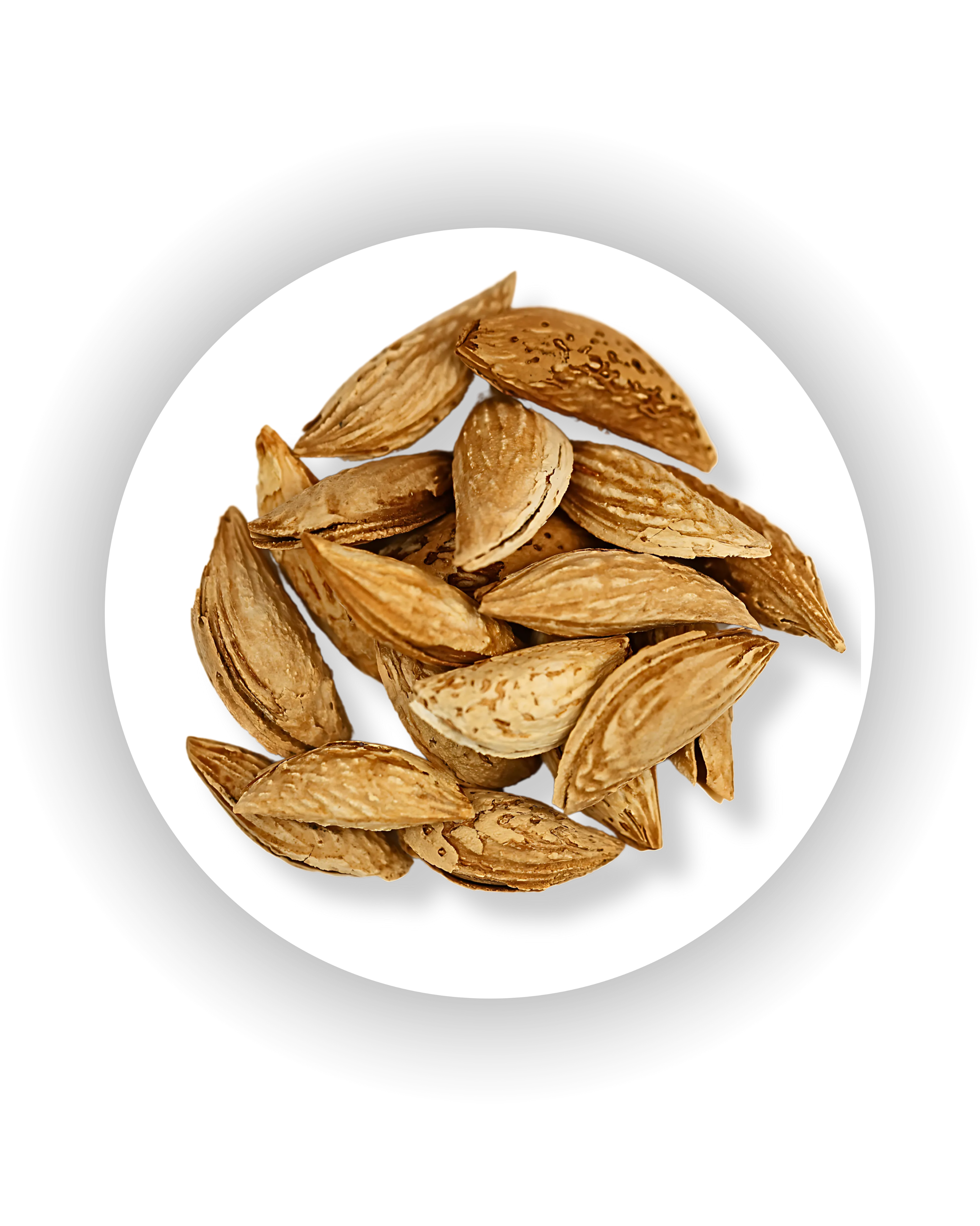 Almond With Shell - Satar Bai - Aahu Barah